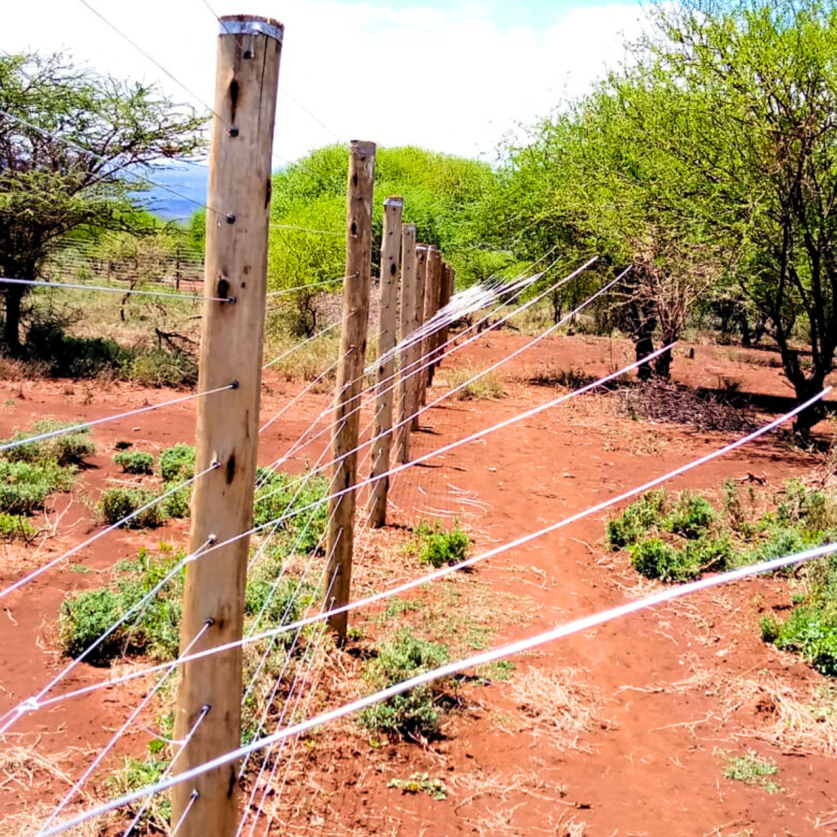 Farm Electric Fences Using Treated Wooden Posts in Kenya - Electric ...