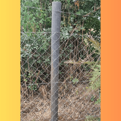 Installing Farm Fences Using Recycled Plastic Posts in Kenya – Electric ...